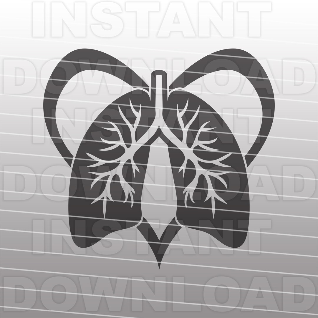 Respiratory Therapy Themed Anatomical Lungs Within Heart SVG File ...