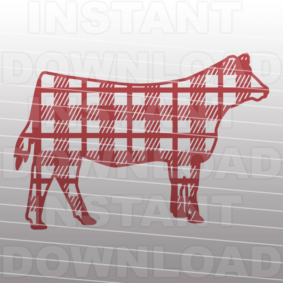 Show Heifer SVG File,plaid Livestock SVG File,farm Cow Svg-vector Art ...