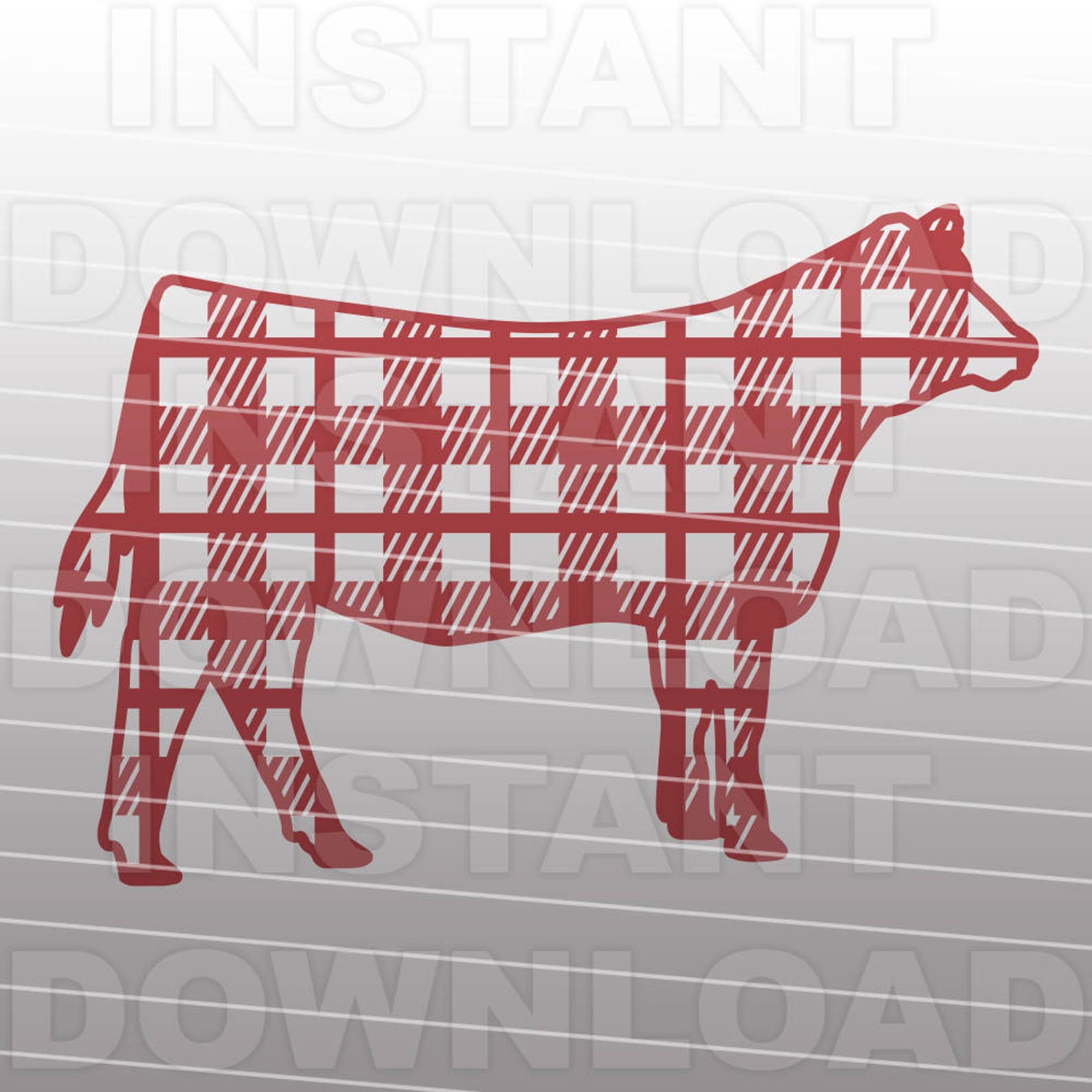 Show Heifer SVG File,plaid Livestock SVG File,farm Cow Svg-vector Art ...