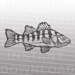 Perch SVG File,perch Fishing Svg,fisherman Svg -vector Art for ...