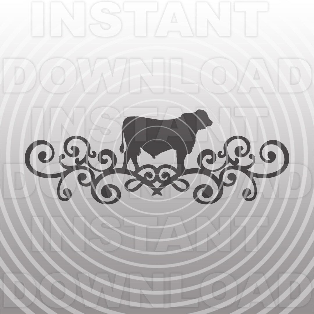Brangus Show Cattle With Embellishment SVG File,livestock Svg -vector ...