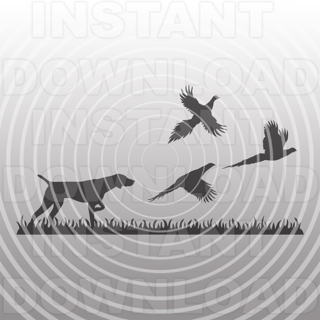 Bird Dog Pointing With Pheasants SVG File,pheasant Hunting SVG -vector ...