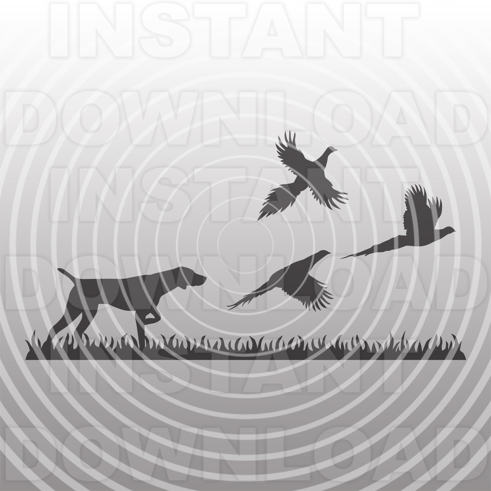 Bird Dog Pointing With Pheasants SVG File,pheasant Hunting SVG -vector ...