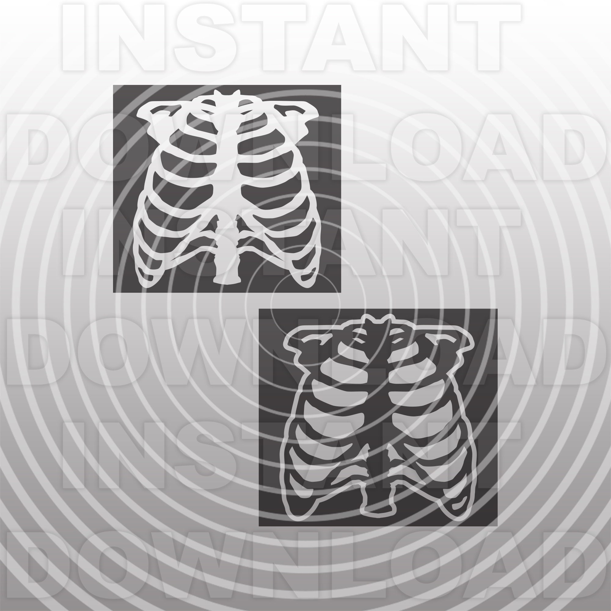 Chest X-ray SVG File,x-ray Tech Svg,rad Tech Svg,x-ray Technician Svg ...