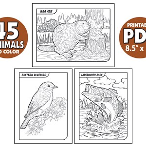 45 Wild Animals of Michigan Coloring Pages Book,fish + Birds + Mammals ...