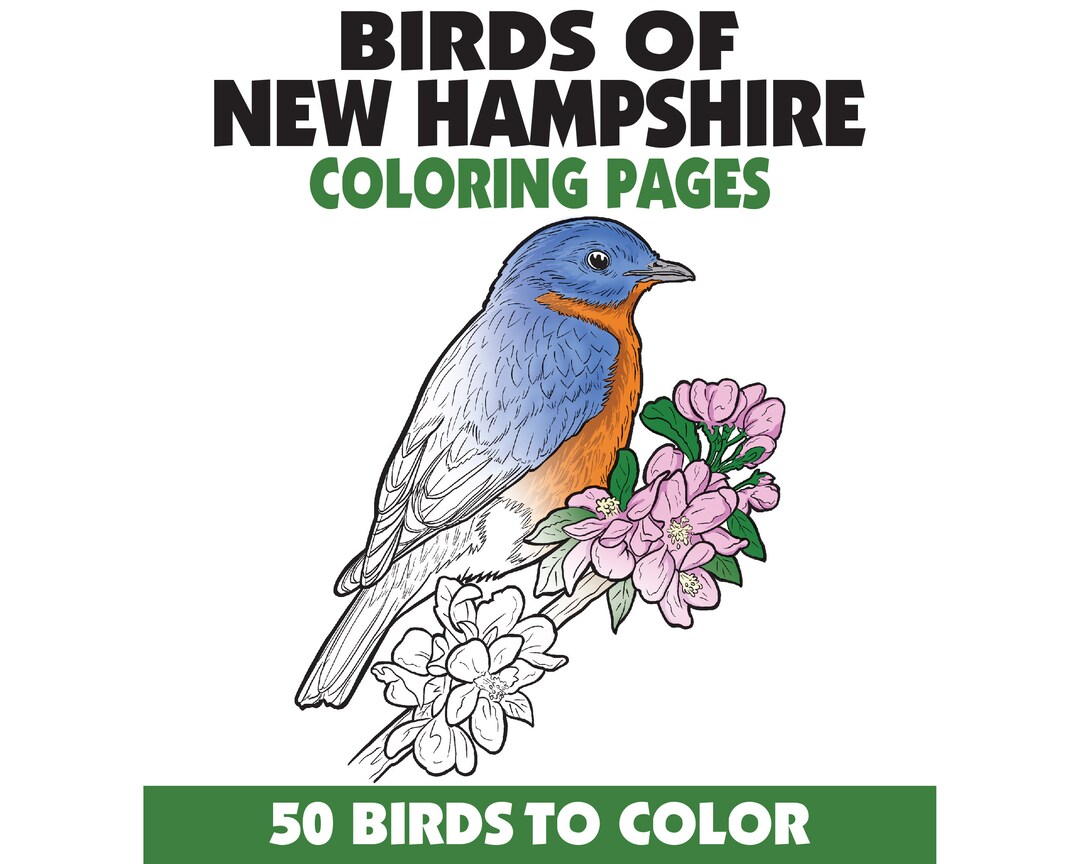 50 Birds of New Hampshire Coloring Pages Book,birdwatching Coloring ...