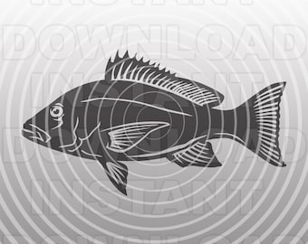 Mutton Snapper Svg - Etsy