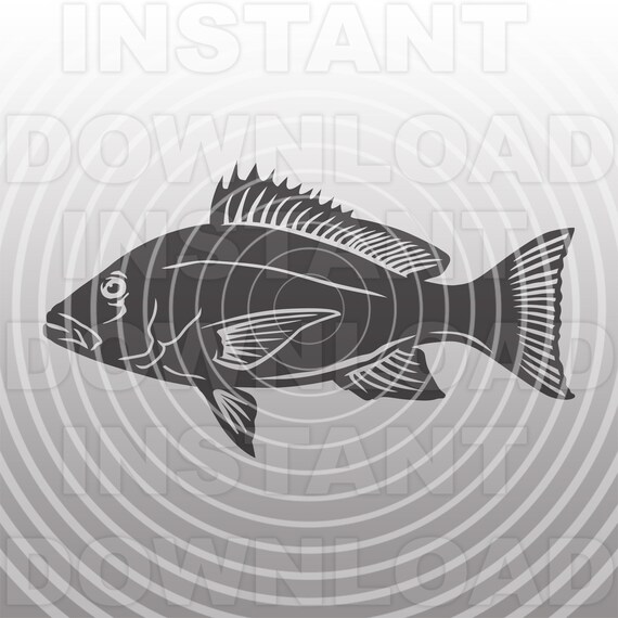 Red Snapper Fish SVG Filesnapper Silhouette SVG vector Art | Etsy