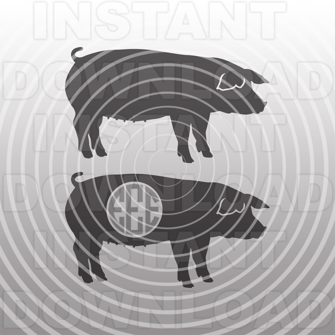 Landrace Pig SVG File,swine Svg,gilt Svg,livestock Svg,vector Art ...