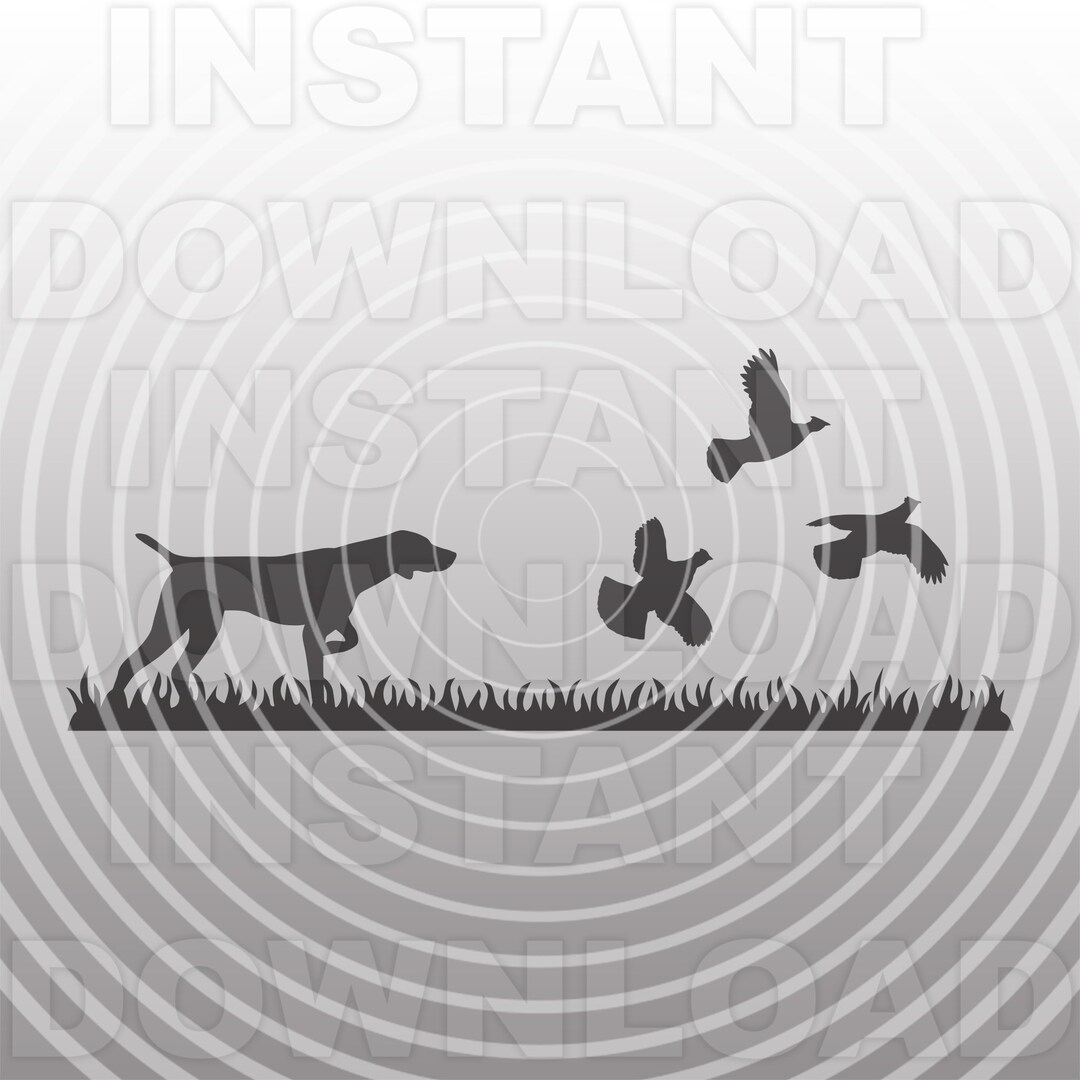 Bird Dog Pointing With Quail SVG File,quail Hunting SVG -vector Clipart ...