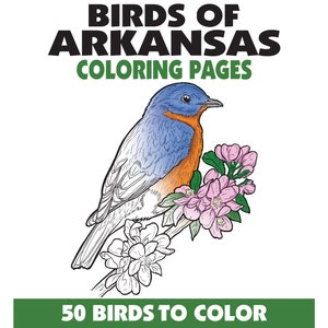 50 Birds of Arkansas Coloring Pages Book,birdwatching Coloring Pages ...
