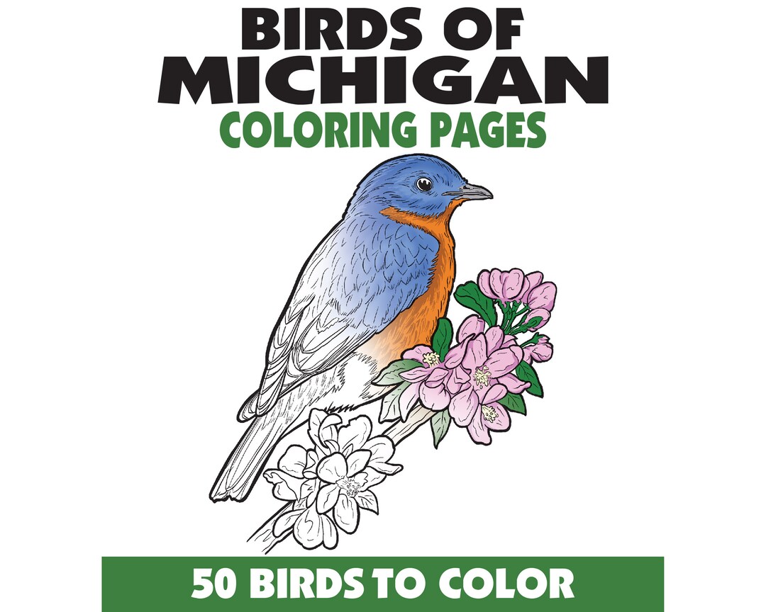 50 Birds of Michigan Coloring Pages Book,birdwatching Coloring Pages ...