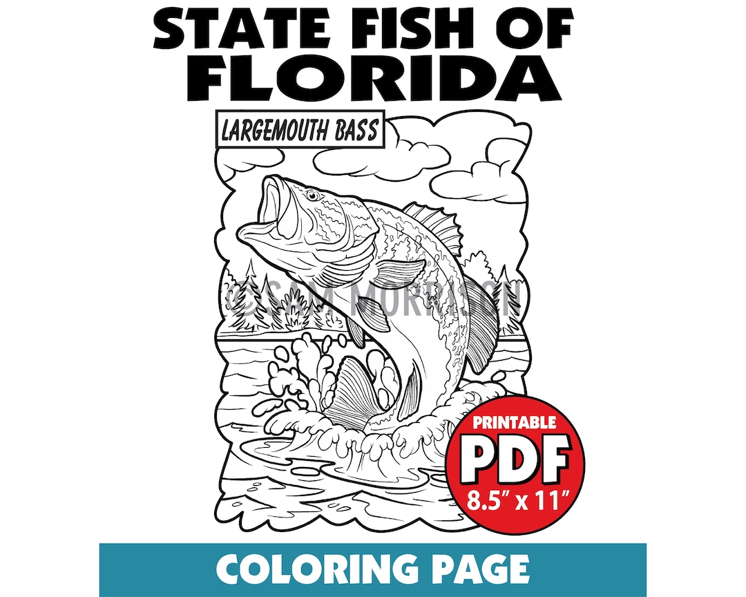 Largemouth Bass State Fish of Florida Printable Coloring Page - PDF ...