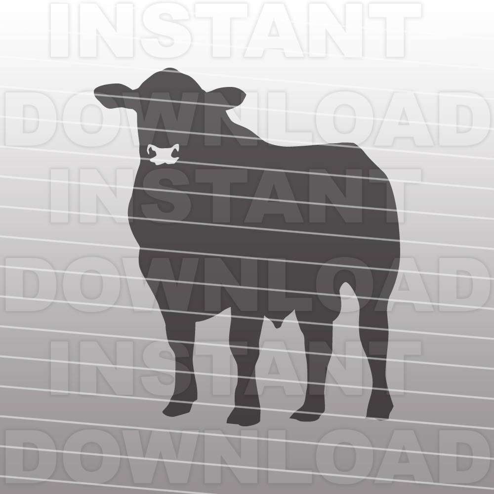 Angus Bull SVG File Cattle SVG Livestock SVG Vector Clip - Etsy