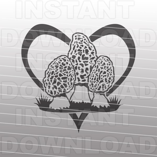 Morel Mushrooms - Etsy