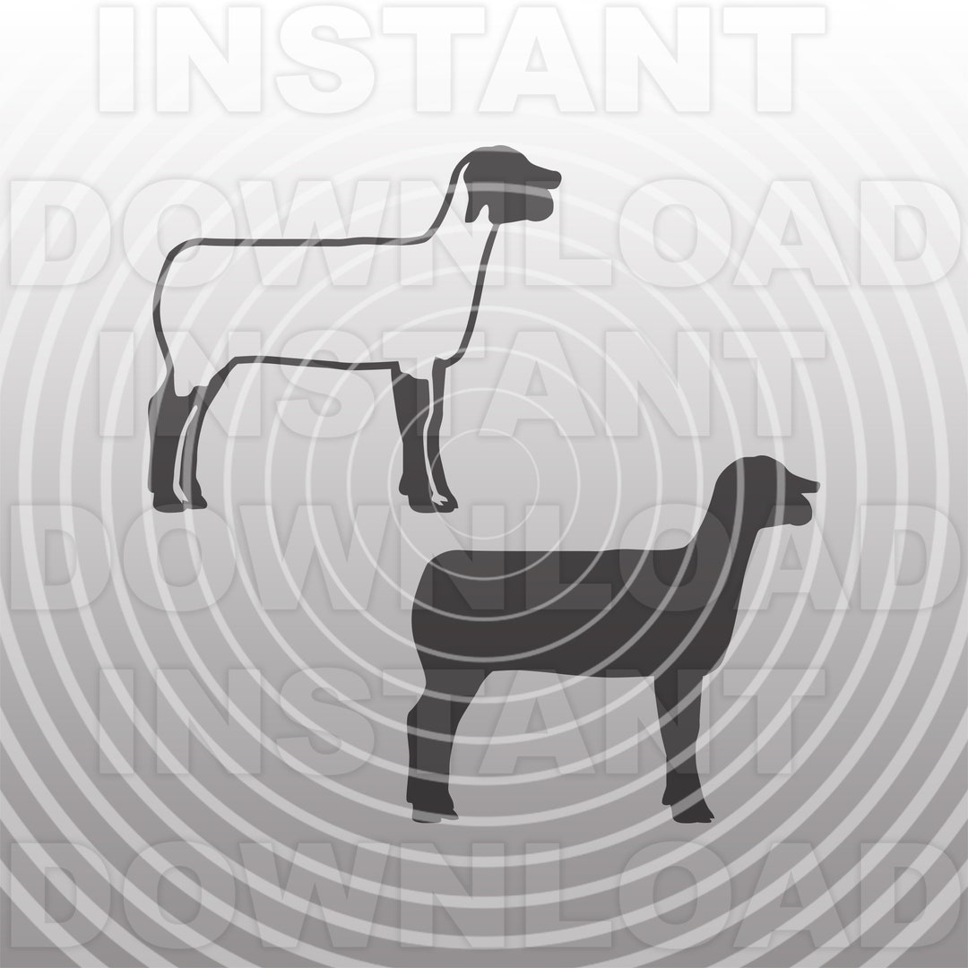 Show Sheep Svg,livestock SVG File,ewe Svg,stock Show Svg,vector Format ...