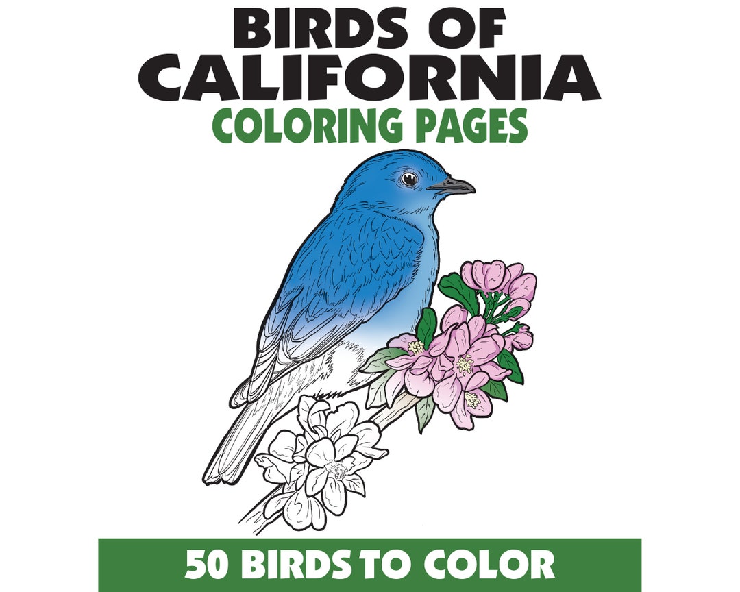 50 Birds of California Coloring Pages Book,birdwatching Coloring Pages ...