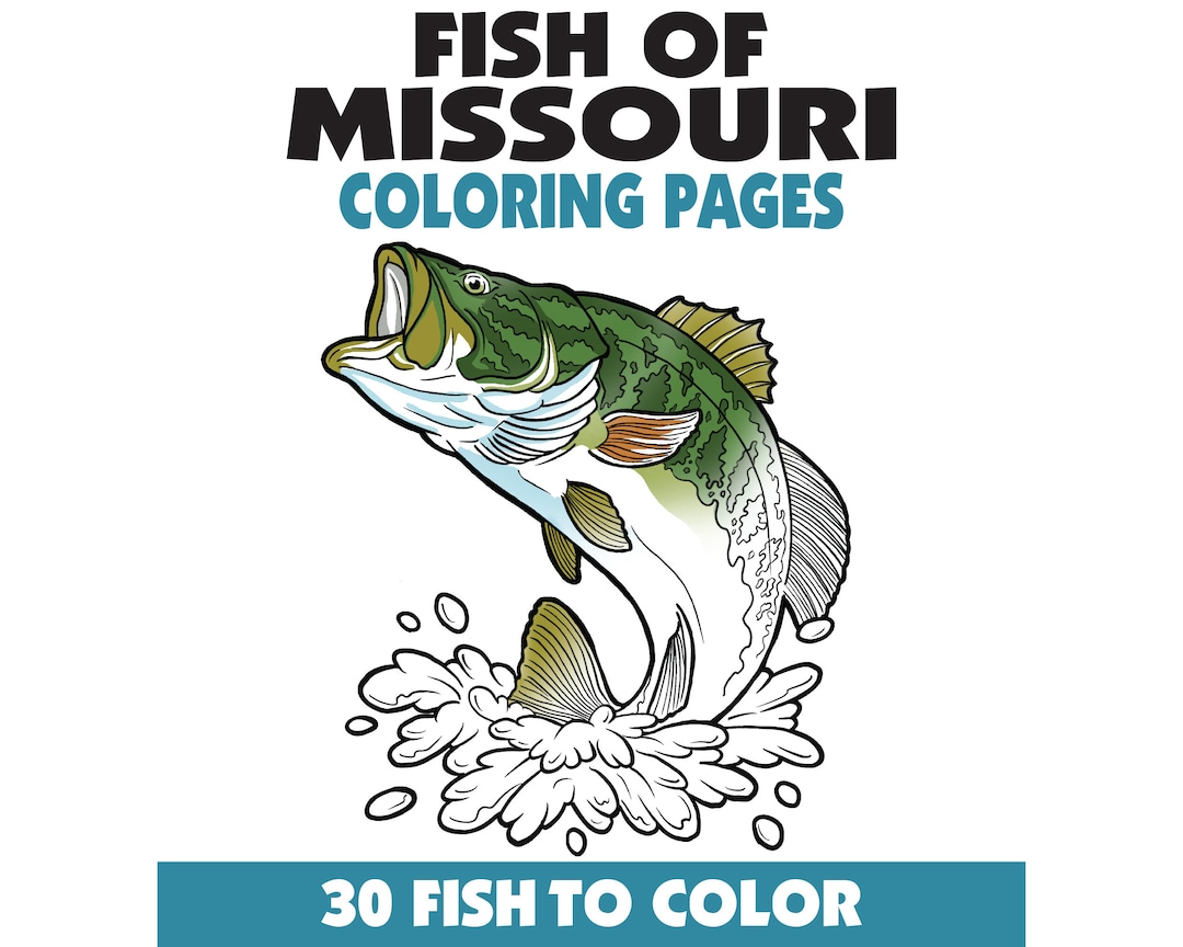 30 Fish of Missouri Coloring Pages Book, Fishing Coloring Pages, Adults ...