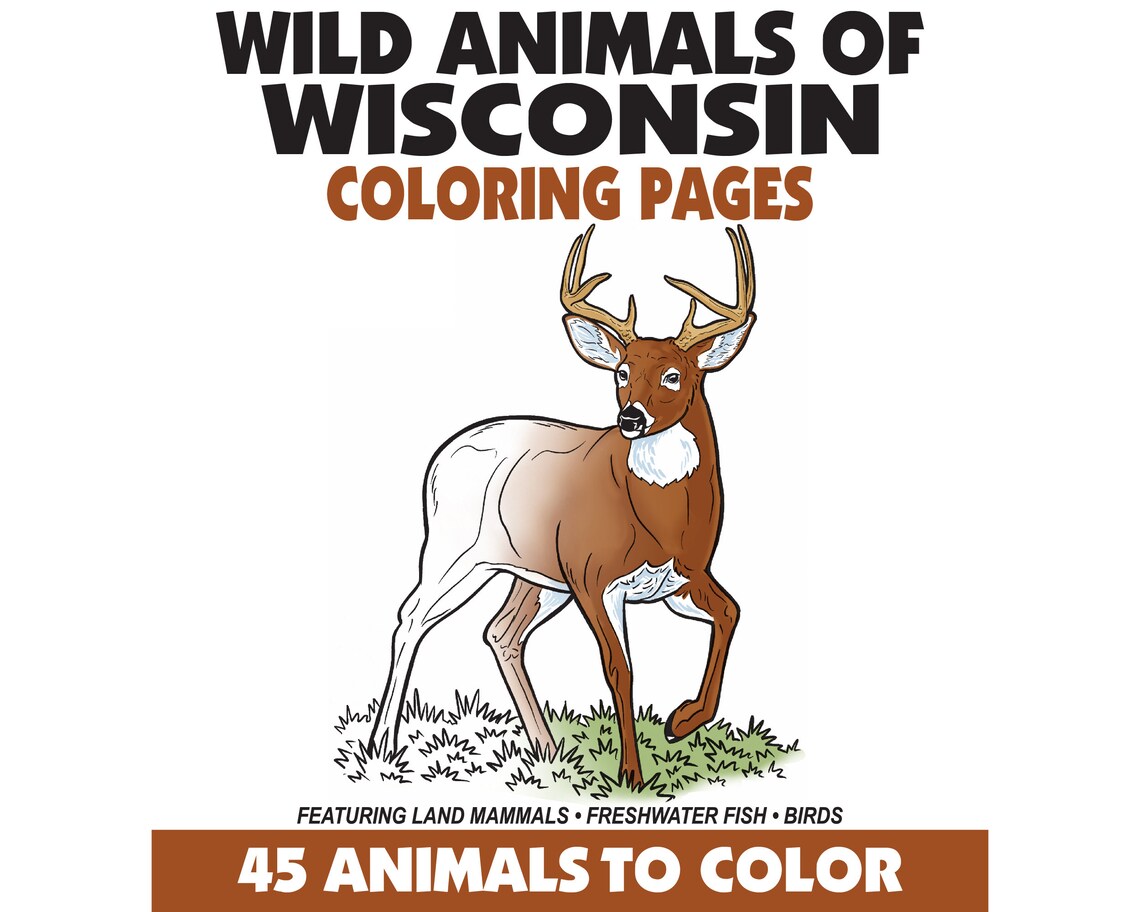 45 Wild Animals of Wisconsin Coloring Pages Book,fish + Birds + Mammals ...