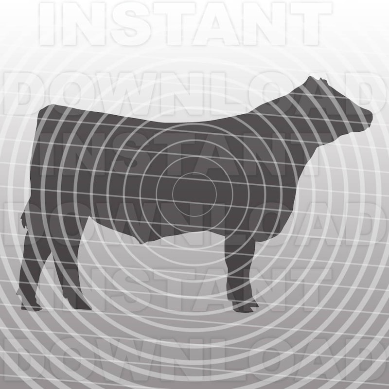 Show Steer Clip Art - Etsy