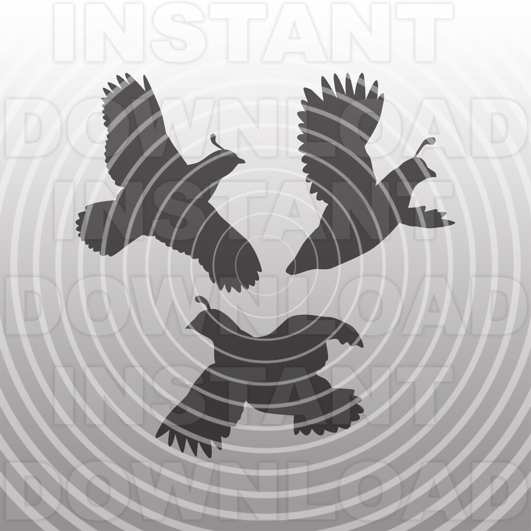 Flying Quail SVG File,quail Flying Svg,quail Hunting Svg,quail Hunter ...