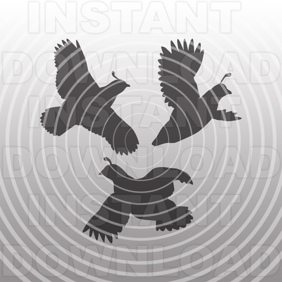Flying Quail SVG File,quail Flying Svg,quail Hunting Svg,quail Hunter ...