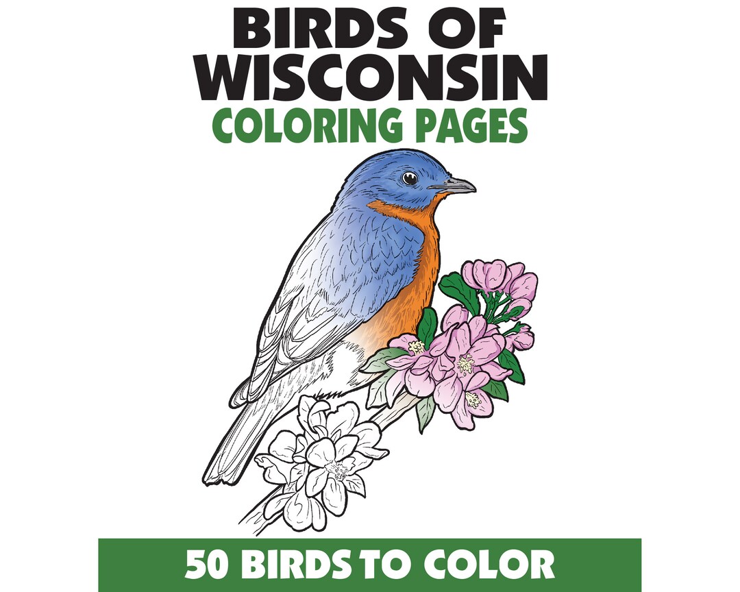 50 Birds of Wisconsin Coloring Pages Book,birdwatching Coloring Pages ...