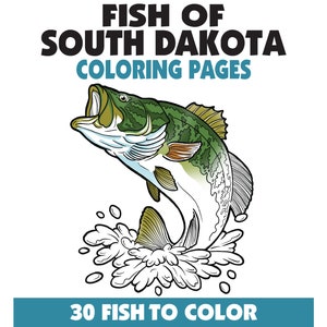 30 Fish of South Dakota Coloring Pages Book, Fishing Coloring Pages ...
