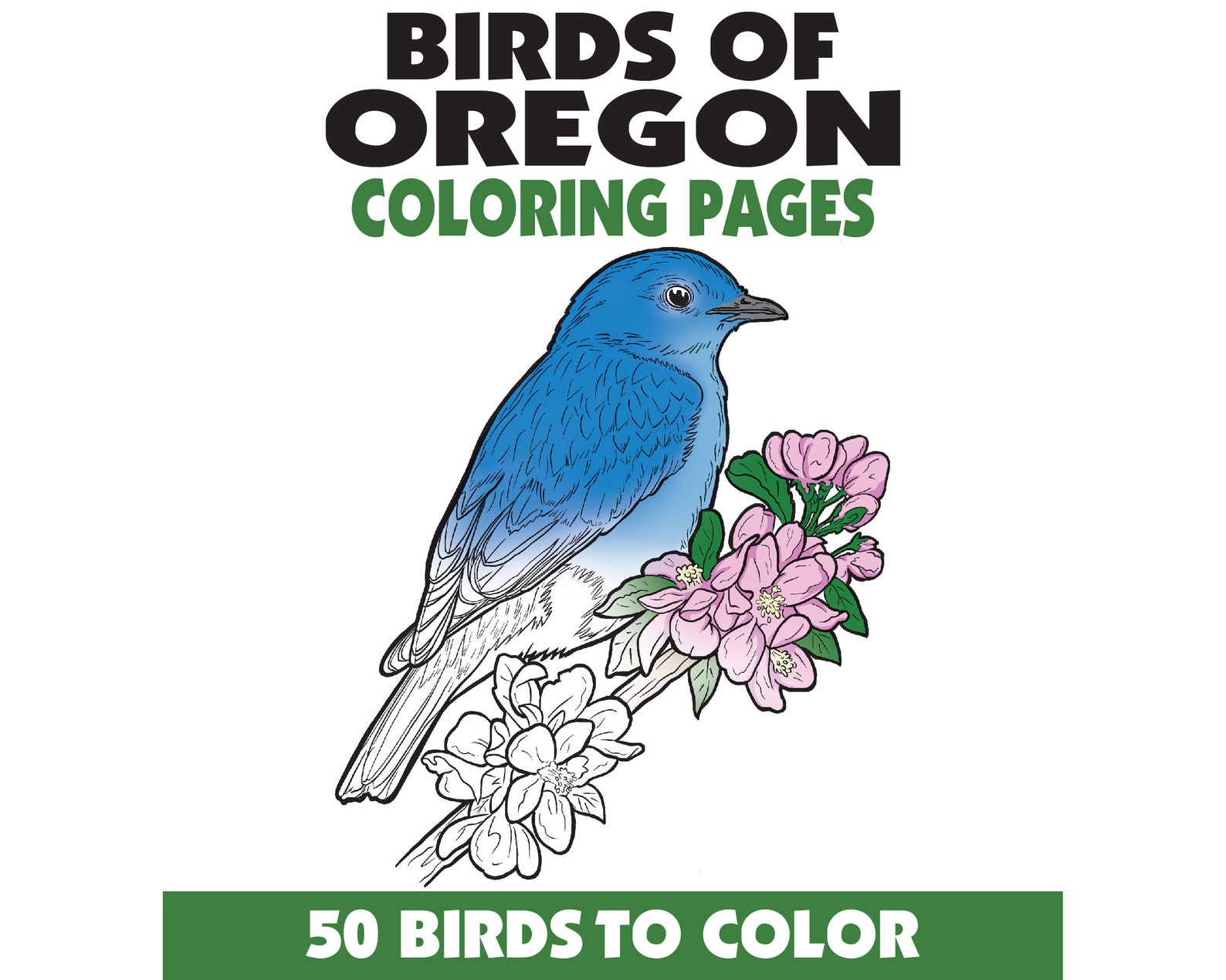 50 Birds of Oregon Coloring Pages Book,birdwatching Coloring Pages ...