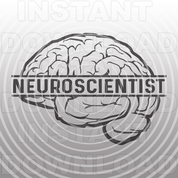 Neuroscientist With Brains Svganatomy Svgbrains SVG vector | Etsy
