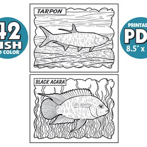 42 Freshwater Fish of Florida Coloring Pages Book,fishing Coloring ...