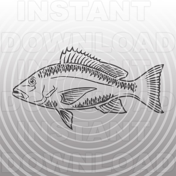 Red Snapper - Etsy