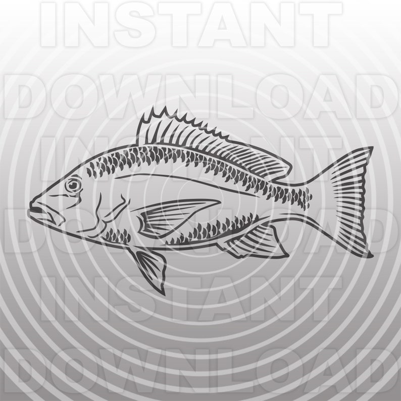 Realistic Red Snapper Fish SVG Filefisherman SVG vector Art - Etsy