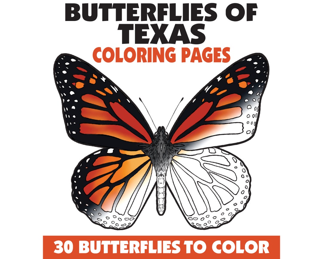 30 Butterflies of Texas Coloring Pages Book,butterfly Coloring Pages ...