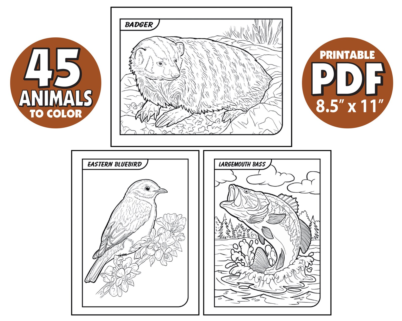 45 Wild Animals of Wisconsin Coloring Pages Book,fish + Birds + Mammals ...