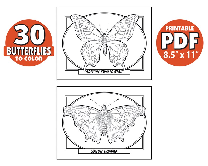 30 Butterflies of Oregon Coloring Pages Book,butterfly Coloring Pages ...