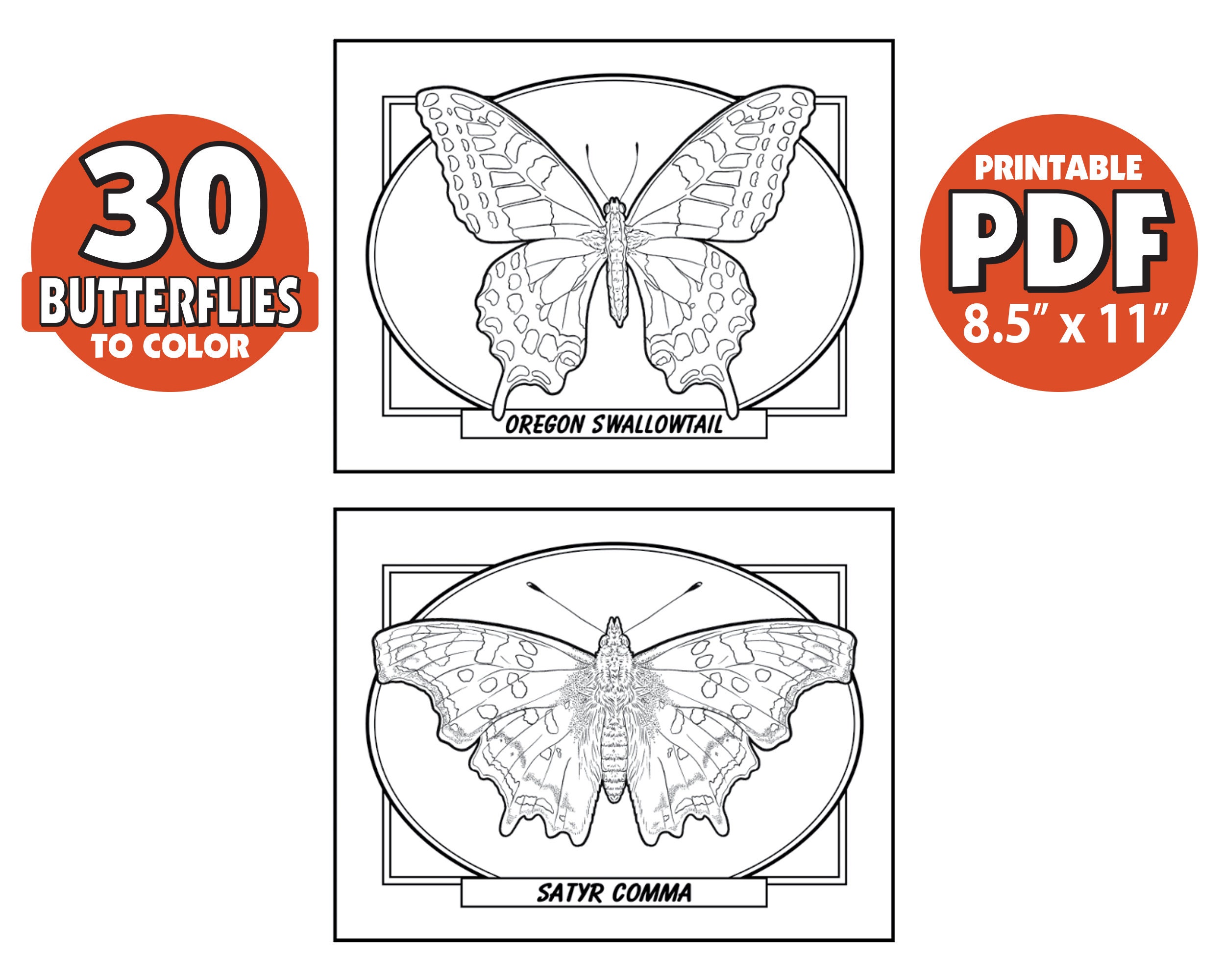30 Butterflies of Oregon Coloring Pages Book,butterfly Coloring Pages ...