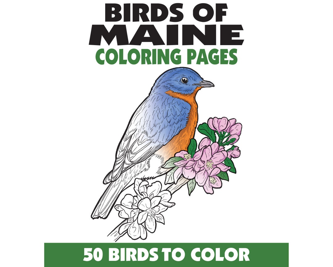 50 Birds of Maine Coloring Pages Book,birdwatching Coloring Pages ...