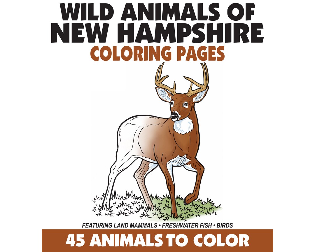 45 Wild Animals of New Hampshire Coloring Pages Book,fish Birds Mammals ...