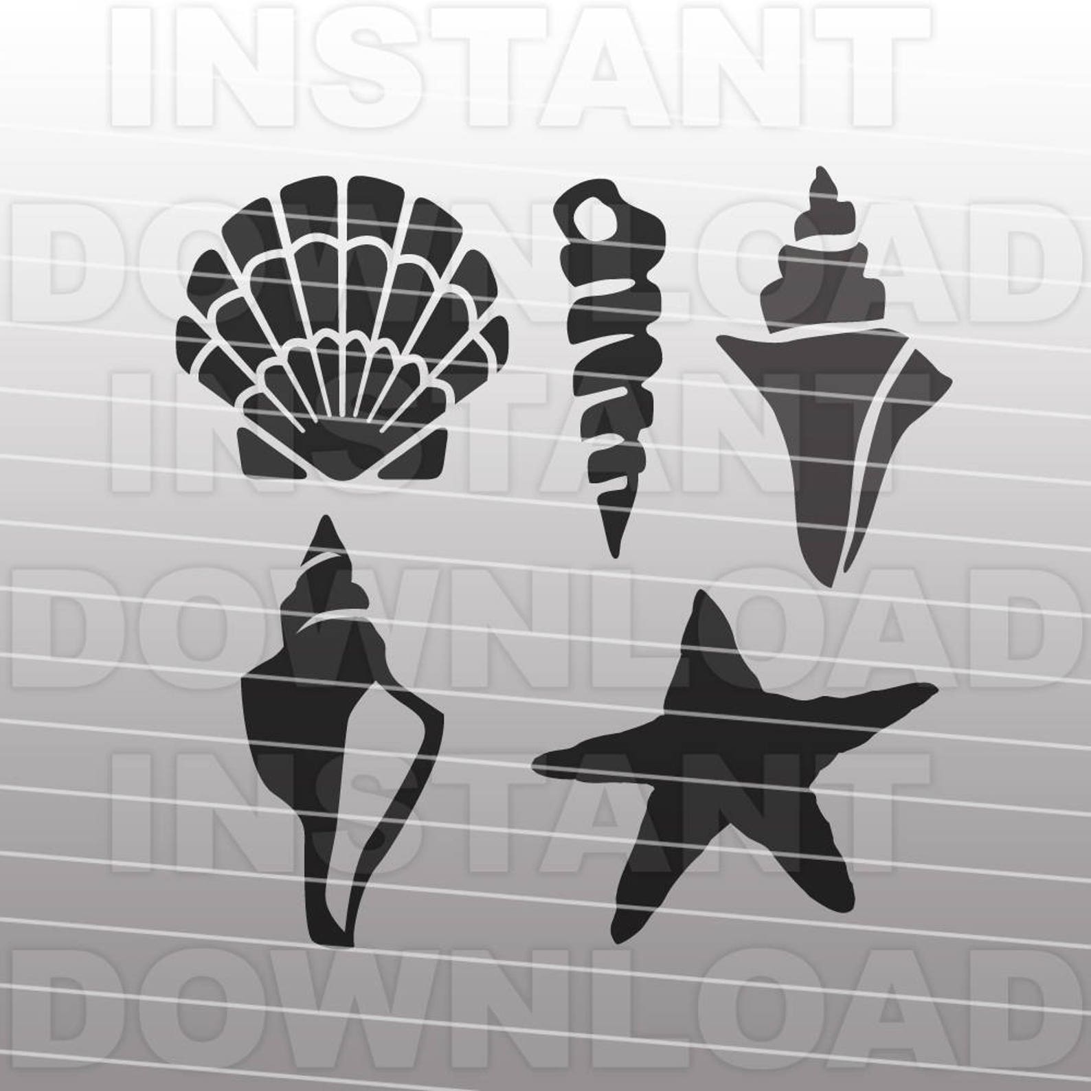 Shells SVG File Cutting Template-beach Clip Art for Commercial - Etsy
