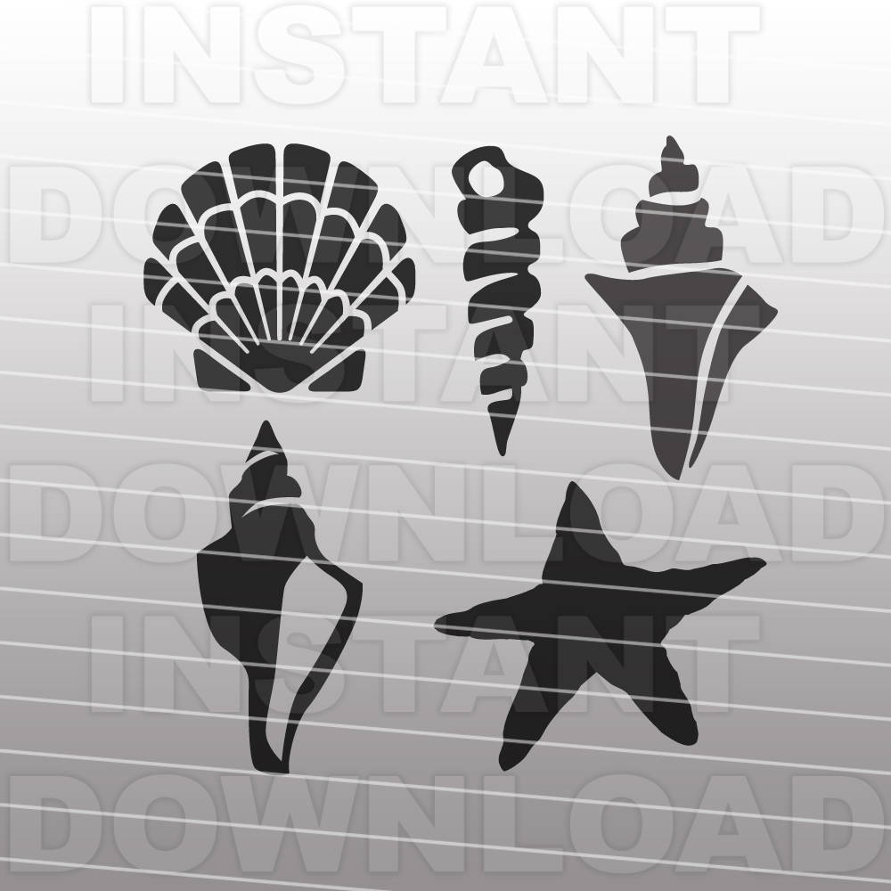 Shells SVG File Cutting Template-beach Clip Art for Commercial - Etsy