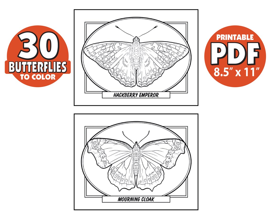 30 Butterflies of North Dakota Coloring Pages Book,butterfly Coloring ...