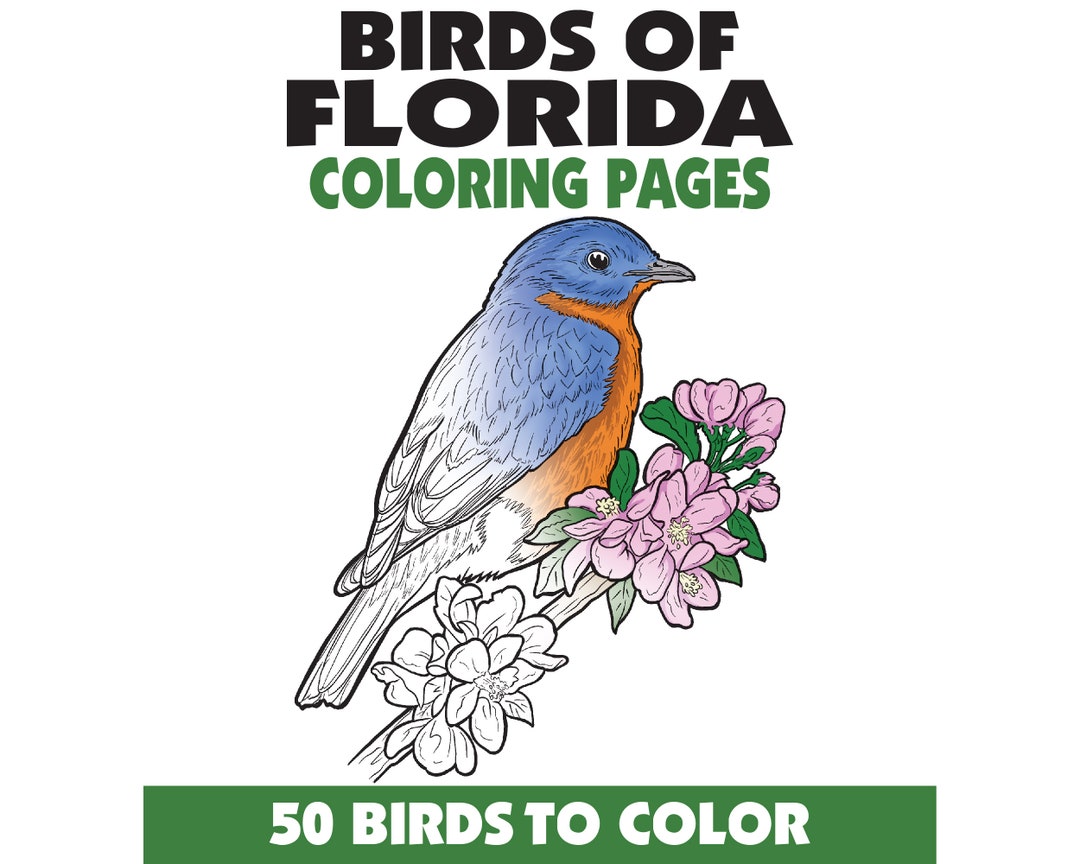 50 Birds of Florida Coloring Pages Book,birdwatching Coloring Pages ...