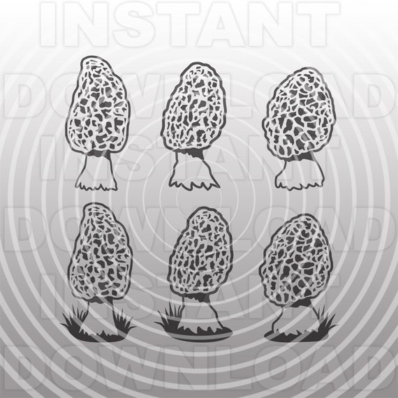 Morel Mushroom SVG Filemushroom Hunting SVG vector Clipart - Etsy