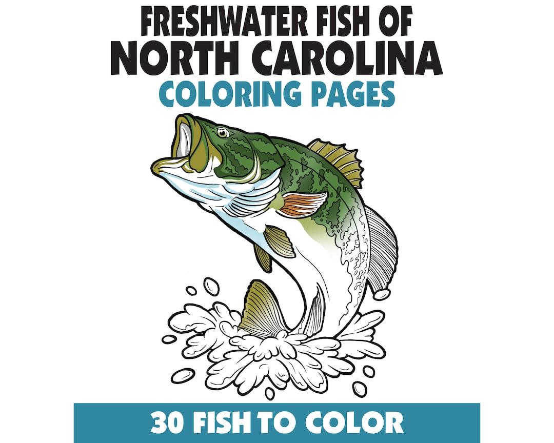 30 Freshwater Fish of North Carolina Coloring Pages Book,fishing ...
