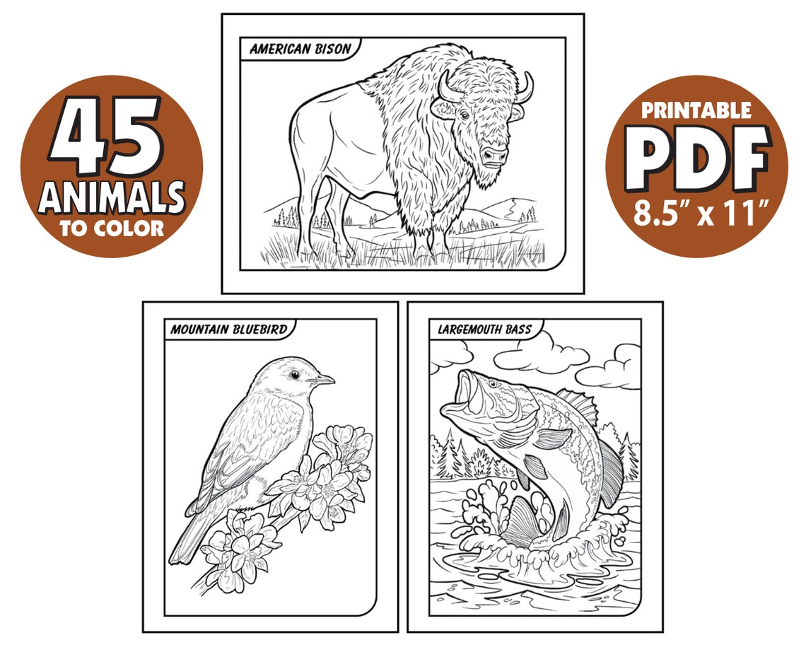45 Wild Animals of Colorado Coloring Pages Book,fish + Birds + Mammals ...
