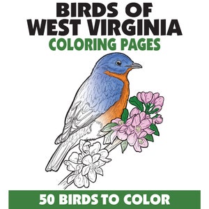 50 Birds of West Virginia Coloring Pages Book,birdwatching Coloring ...