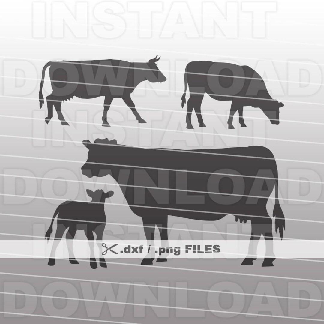 Cows DXF File,bull DXF File,heifer DXF -commercial & Personal Use- Png ...