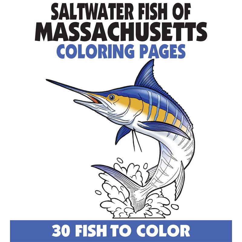 Massachusetts Coloring Page - Etsy