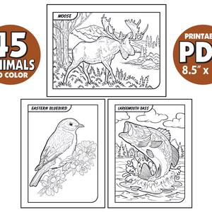 45 Wild Animals of Minnesota Coloring Pages Book,fish Birds Mammals ...